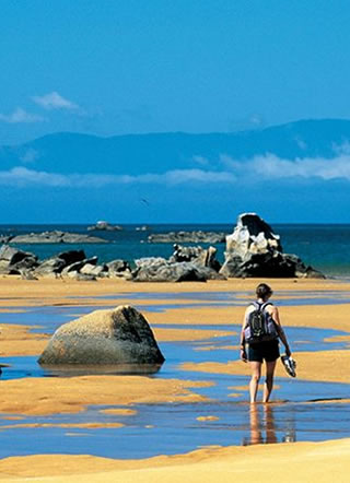 Search and Compare cheap flights, airline tickets & flight tickets,find ...