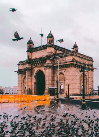 Search and Compare cheap flights, airline tickets & flight tickets,find ...